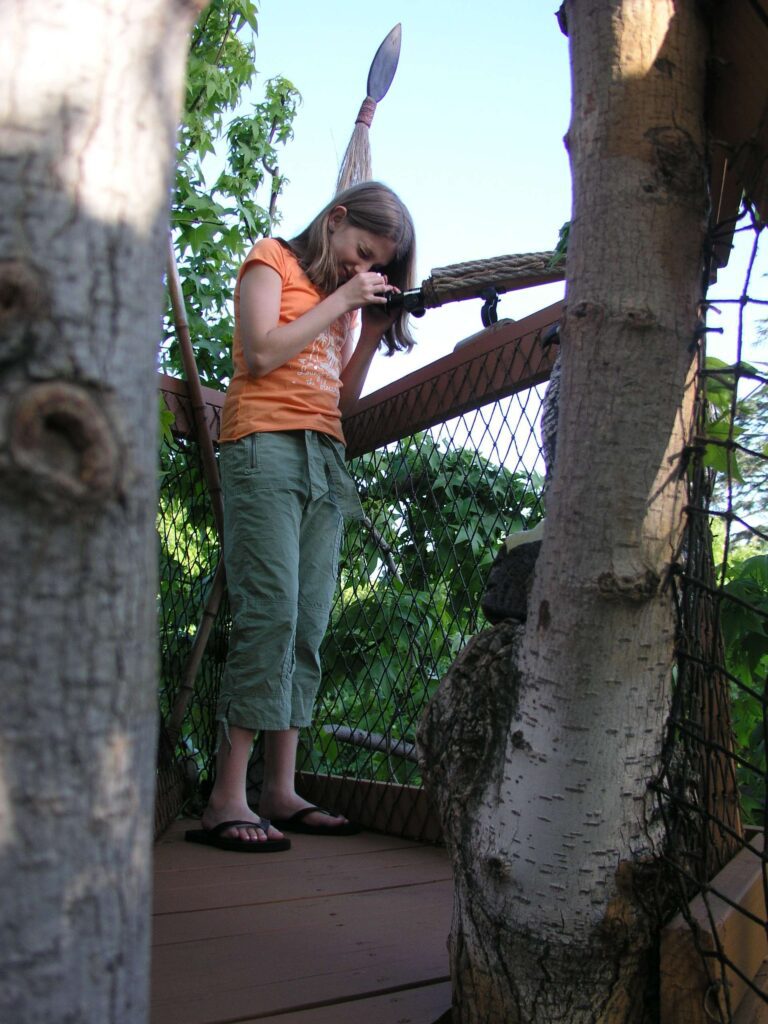 Beloved Sherman Oaks Treehouse, Built by Former Simpsons Producer, Torn ...